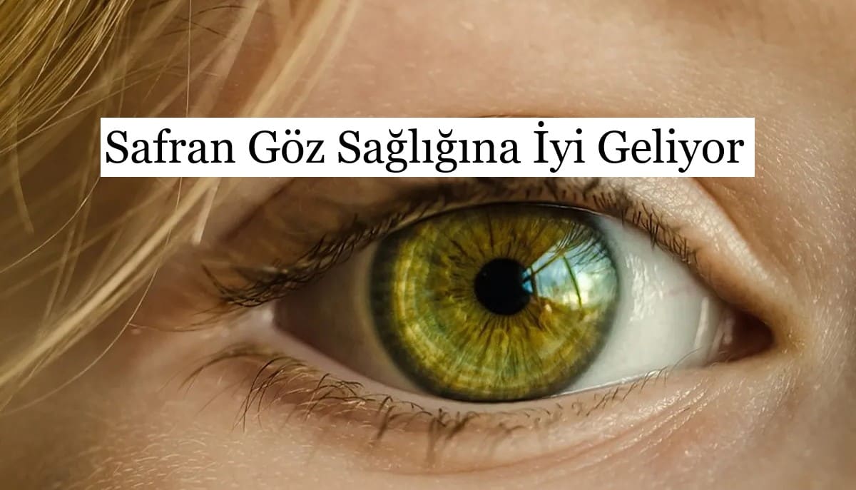 Safran Göz Sağlığına İyi Geliyor - Güzel Bilgiler