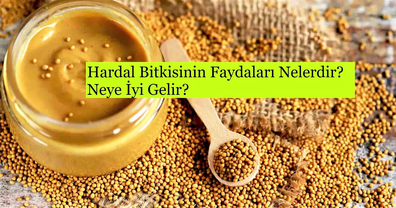 Hardal Bitkisinin Faydaları Nelerdir? Neye İyi Gelir? - Güzel Bilgiler